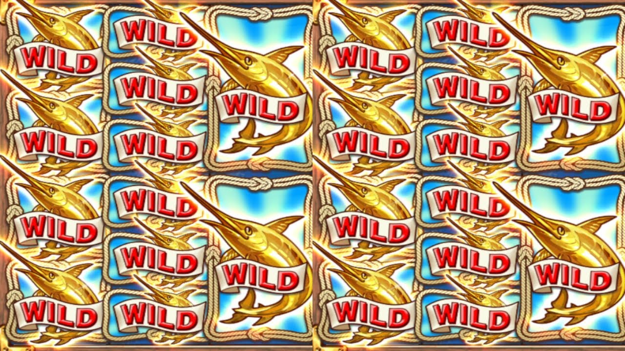 Big Fin Bay WON 💲 7,000 💵🥳💴😎💶😍💷😱💎🥰🎉🎉💰💰🤑 - YouTube