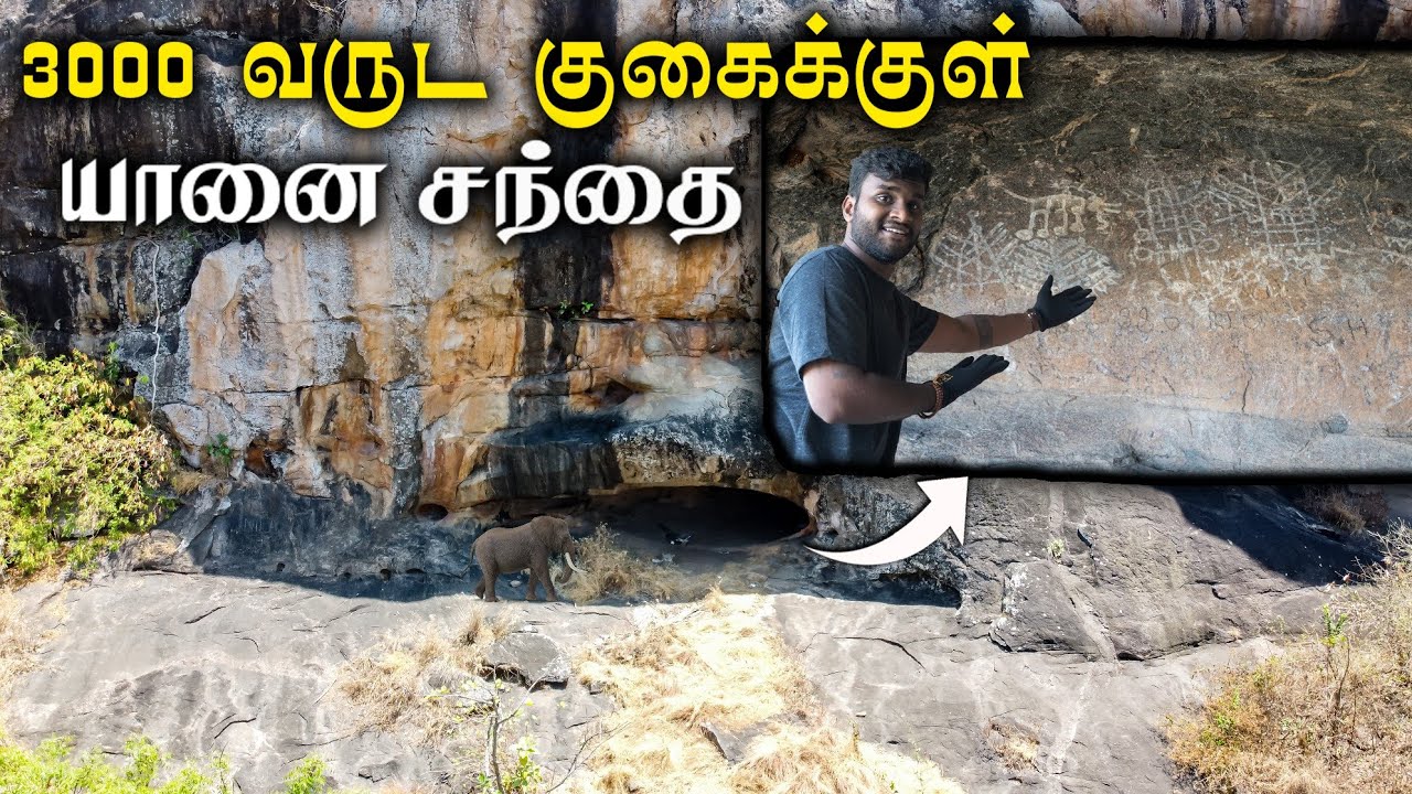 கோயம்புத்தூரில் யானை சந்தை | Pathimalai Cave art | Tamil Navigation ...