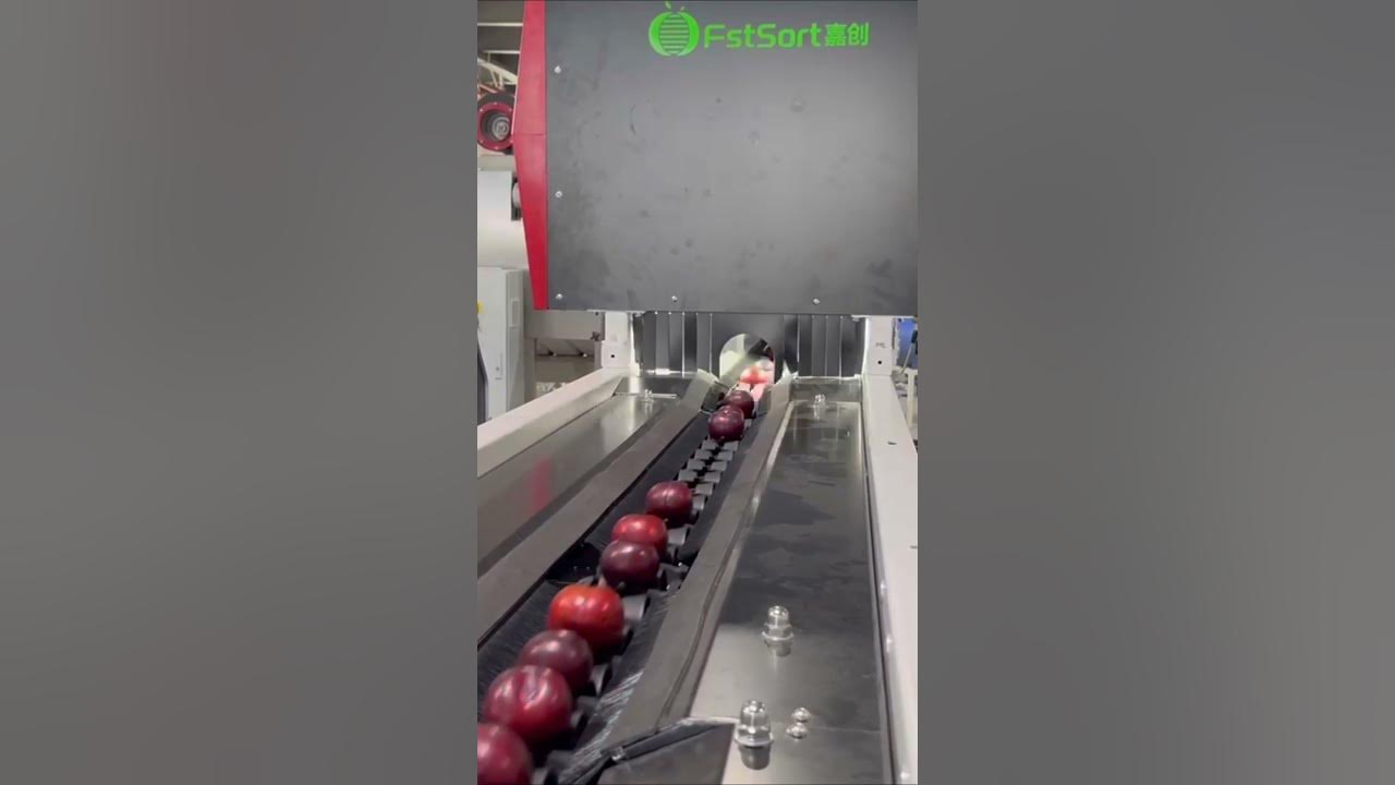 Plum Optical Sorting, Grading and Packing Machines,Fruit Processing Line,Fruit Vision Sorter ...