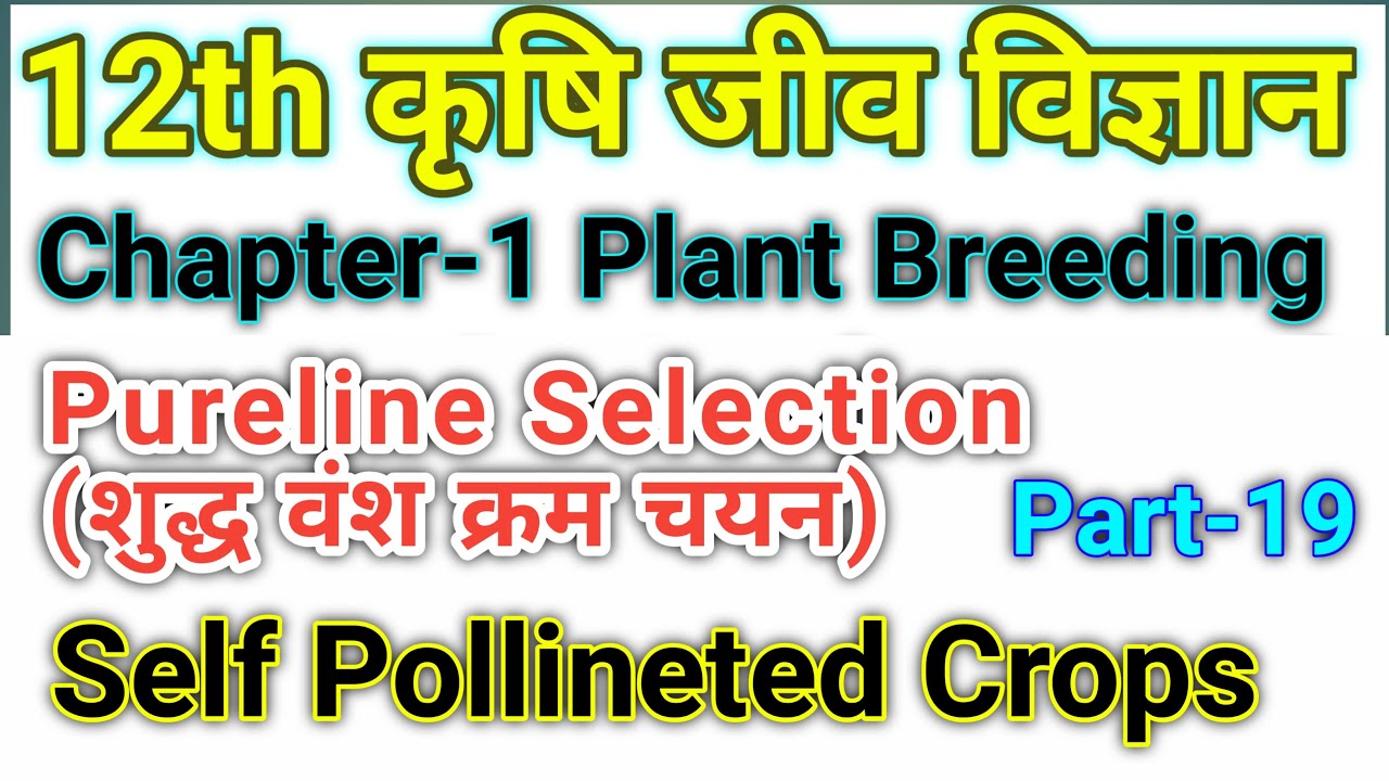 Pureline Selection Method of Plant Breeding || Merits and Demerits of ...
