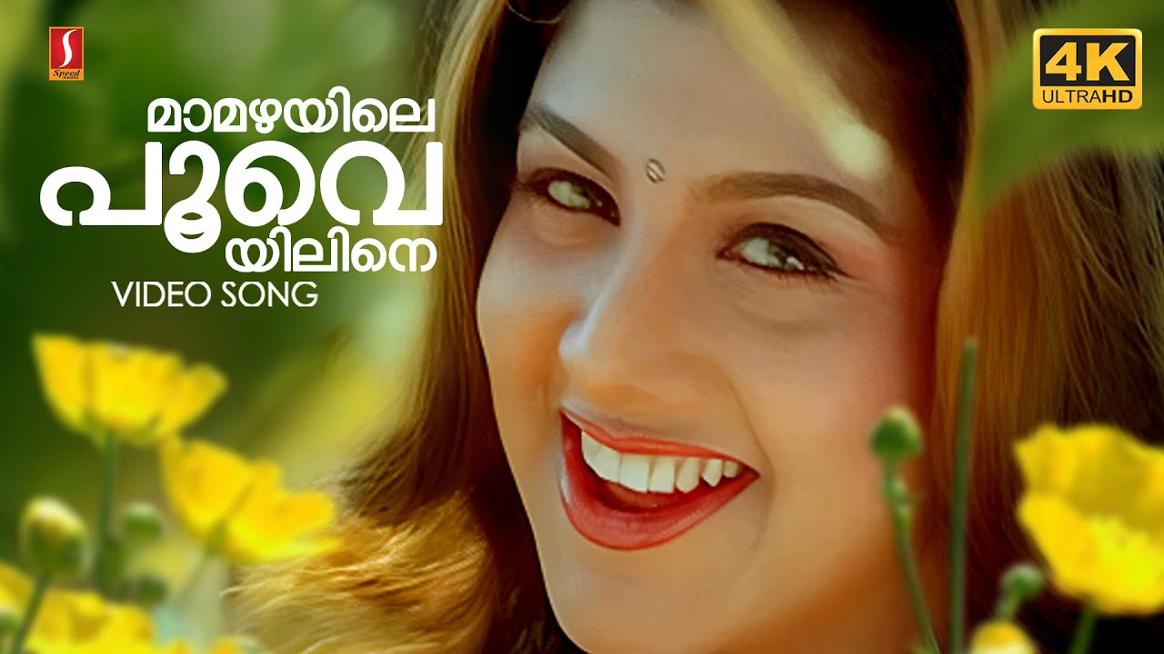 Maamazhayile | 4K | Mayilattam | M Jayachandran | Gireesh Puthacherry ...