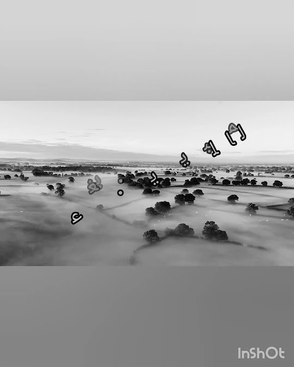 لمّا قلبي يدق بغار عليك أغاني قديمة Youtube