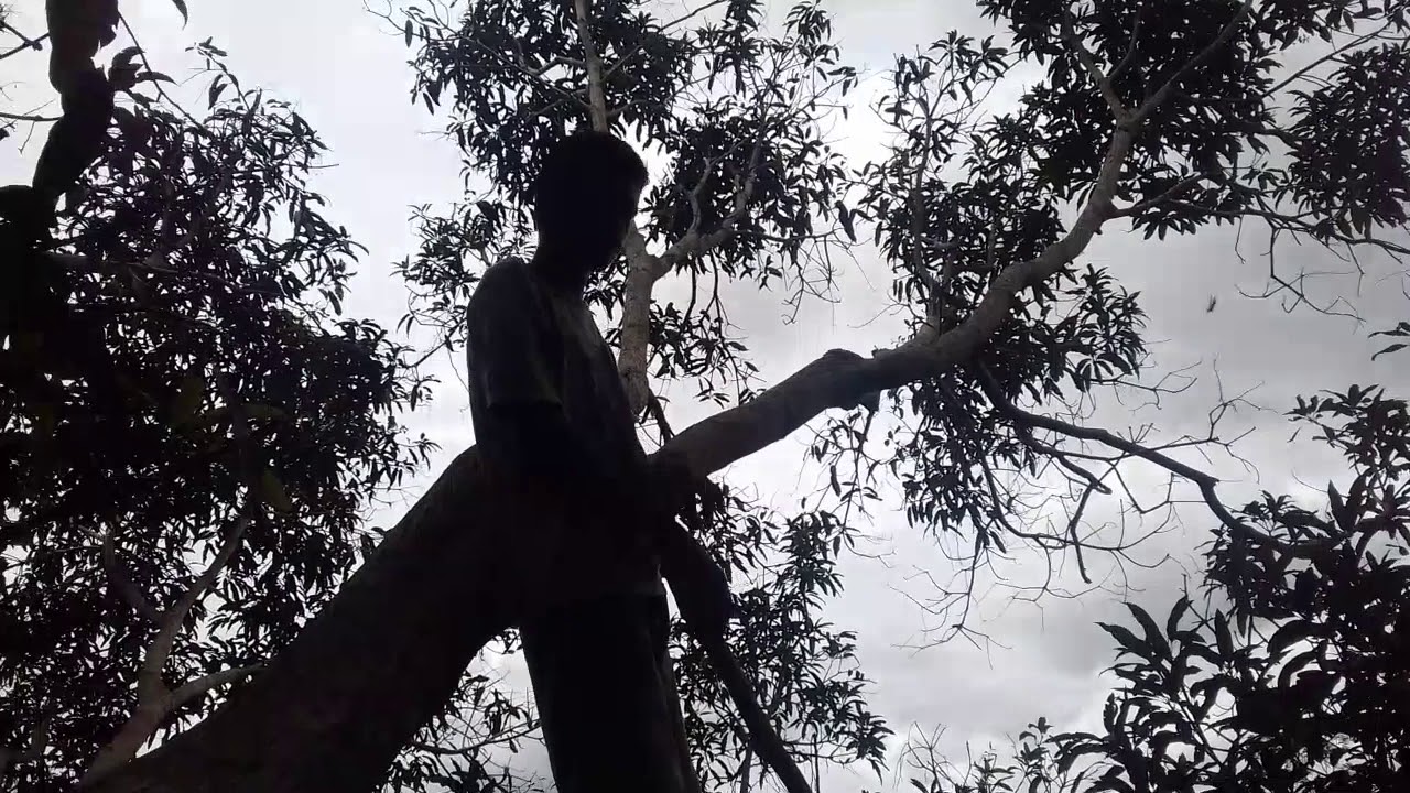 Rael. Silva - YouTube