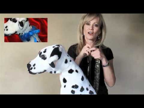 Bark N Bling - YouTube