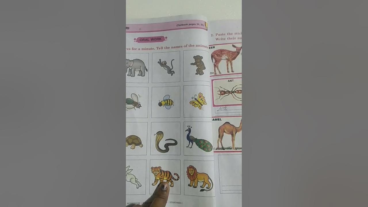 std.1st|English workbook|chapter 2. jungle safari|unit .3| questions ...
