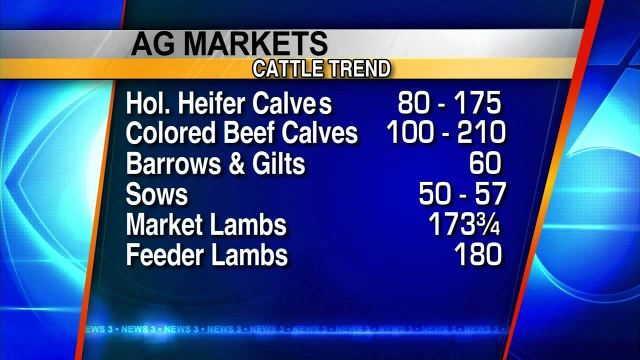 Pam Jahnke's Ag Report - YouTube