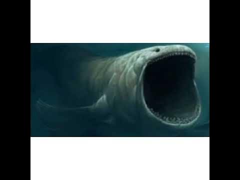 o som do bloop - YouTube