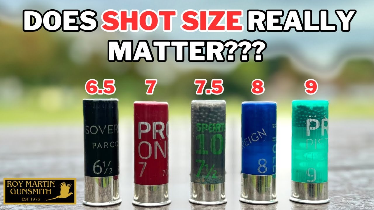 Does Shot Size Really Matter??? - YouTube