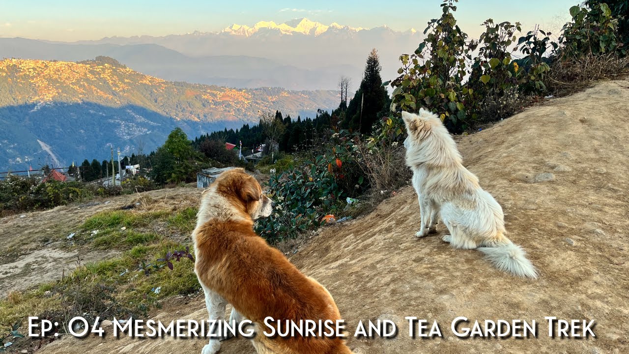 Trip to Rangaroon || EP 04 Day 04 Mesmerizing Sunrise and Tea Garden ...