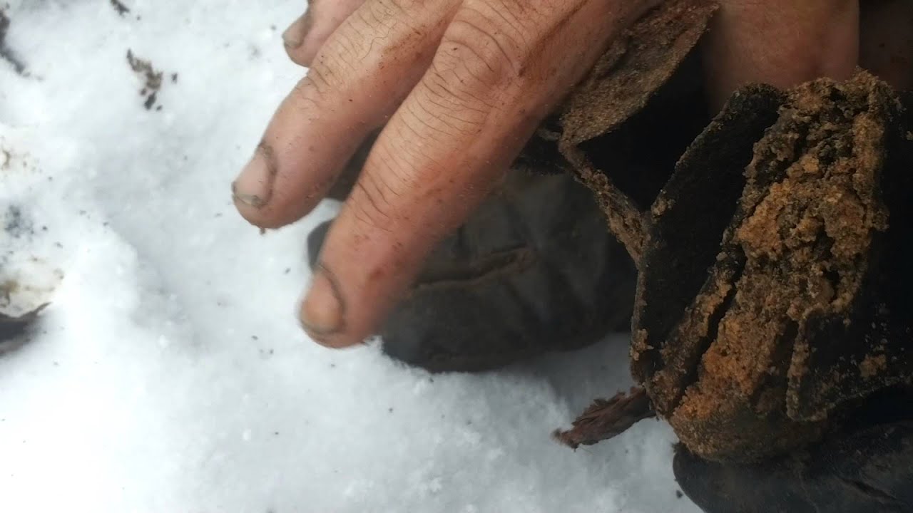 WW2 German soldier wallet - YouTube