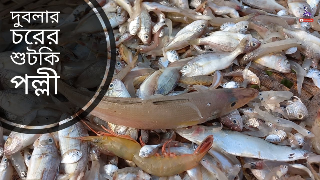 সুন্দরবনের দুবলার চরের শুটকি পল্লী | দুবলার চরের গল্প | পর্ব ০৮ | সিজন ০১ | Md Ripon Shaikh ...