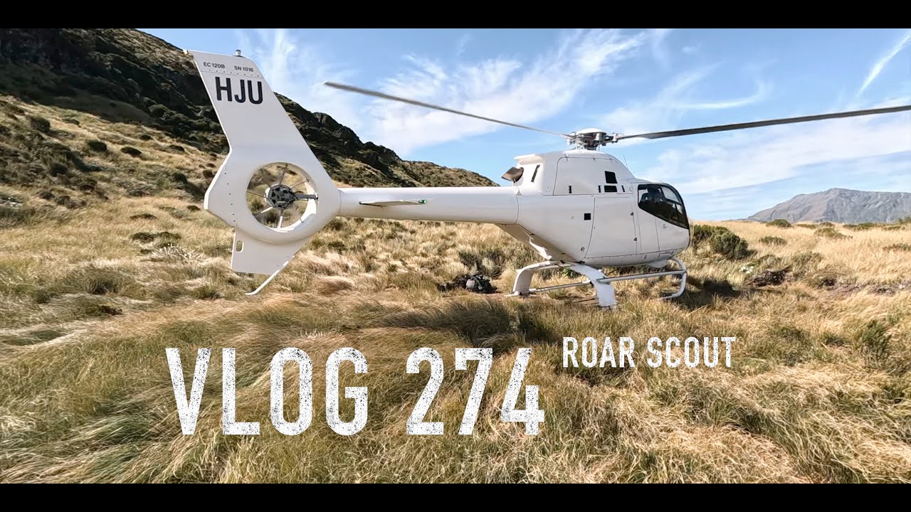 Deer Hunting Hokitika South Westland New Zealand helicopter Roar ...