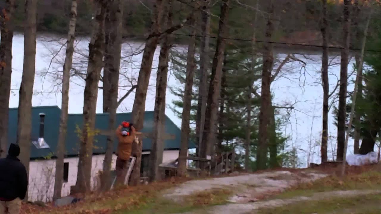 Steve cutting down a tree. - YouTube