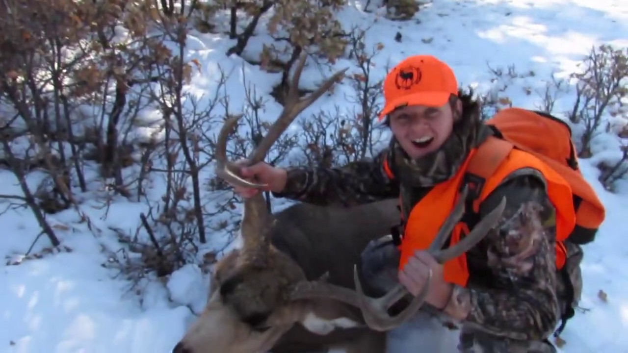 GIANT Colorado Muley! (First Buck 2019) - YouTube