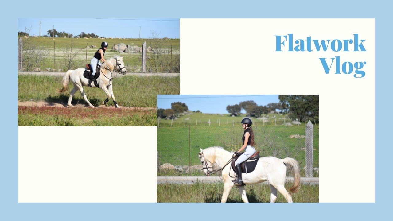 Arabian Horse Got Some Moves 😍 | Flatwork Vlog #1 - YouTube