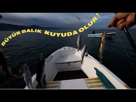 KUYUNUN İÇİ BALIK DOLU...! Yemli Olta İle Mezgit Avı