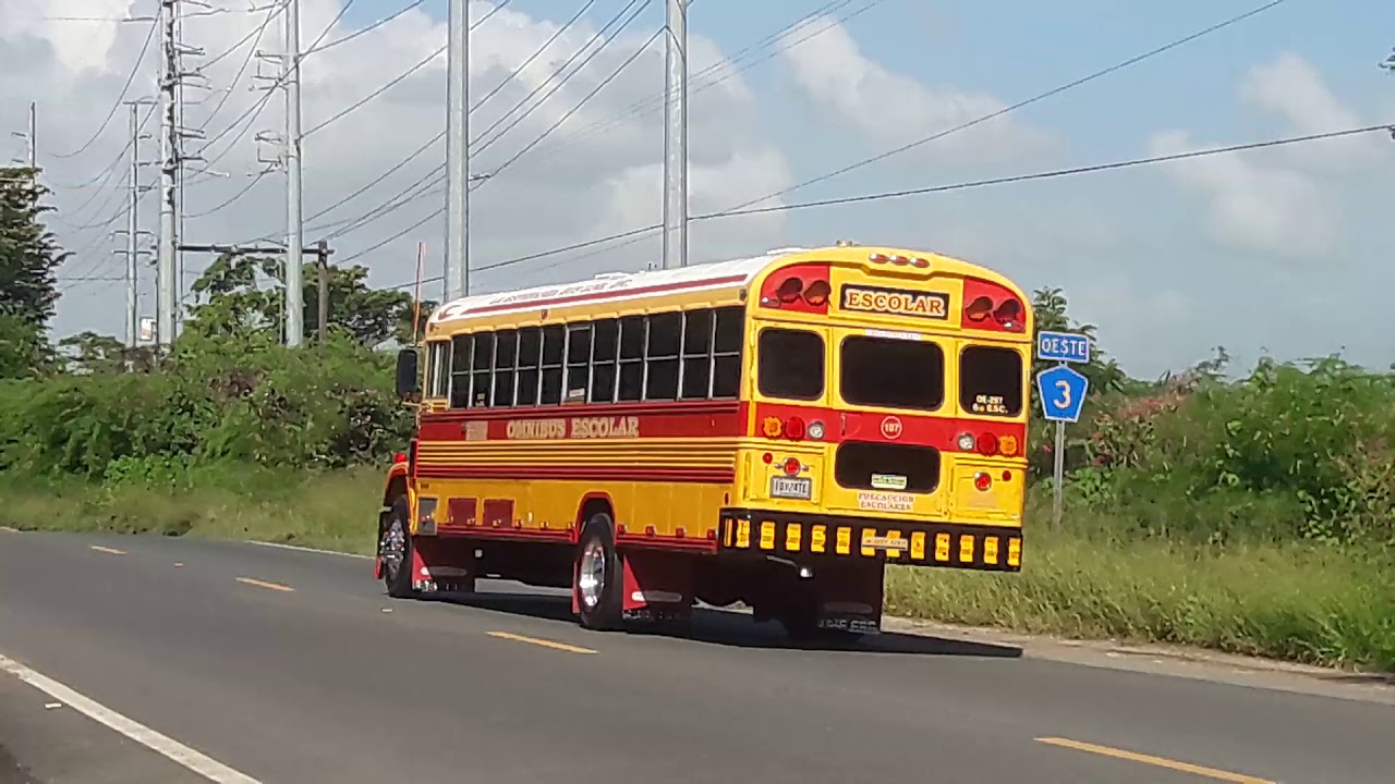 La Esperanza Bus Line Inc. Freightliner FS65 Blue Bird Bus. - YouTube