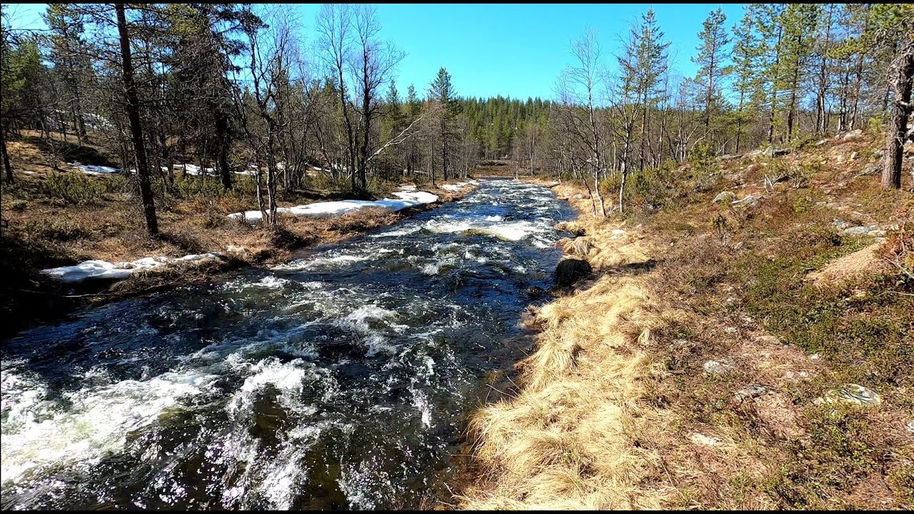 Saariselkä Inari Lappi maisemat. Kaunispäänoja ja Laanioja - YouTube