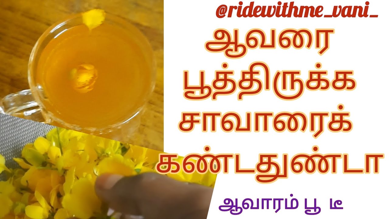 ஆவாரம் பூ டீ நன்மைகள்|| Benifits of Aavaram poo tea || - YouTube