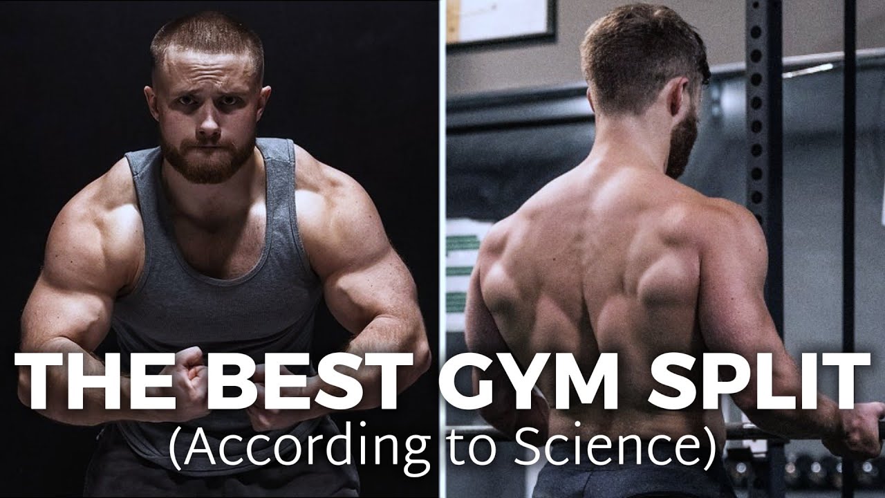 The BEST Gym Split (According to Science) - YouTube