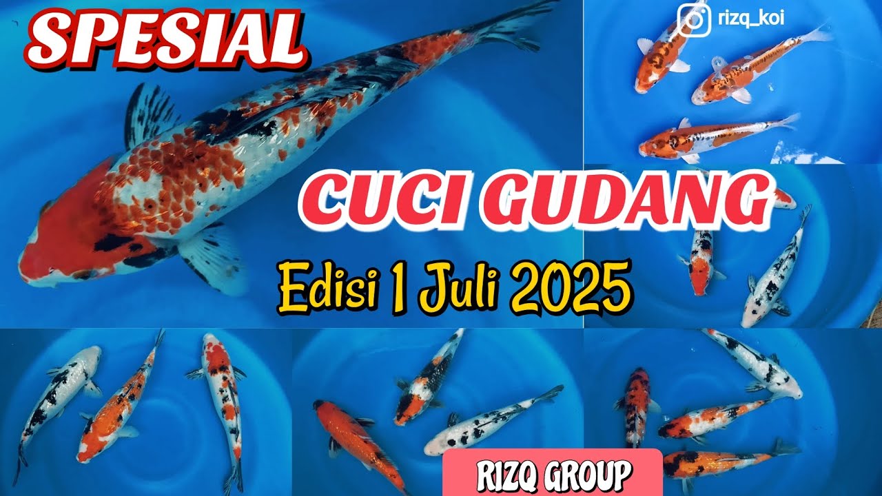SPESIAL HARGA CUCI GUDANG‼️Edisi 1 Juli 2025‼️RIZQ GROUP - YouTube