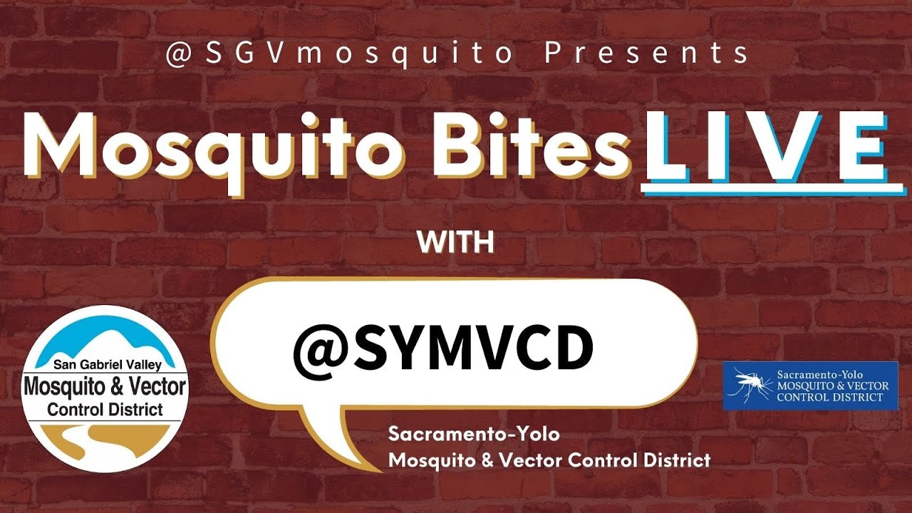 Mosquito Bites Live with Sacramento-Yolo Mosquito & Vector Control ...