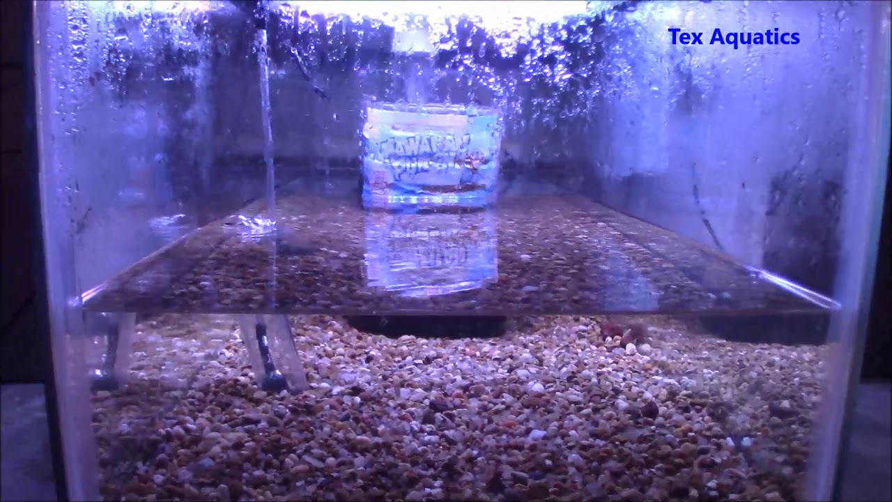 New DIY Filtration For 230 Gal Discus Tank - YouTube