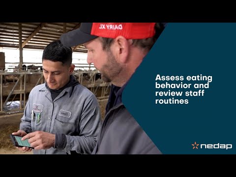 GENEX HerdMonitor™-Herd Eating Patterns - YouTube