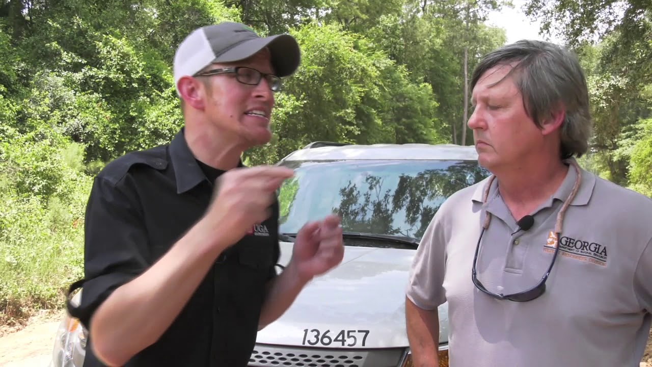 Ranger Nick Introduces Us to a Strange Creature - YouTube