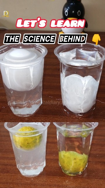 Meaning of Density with example | Simple science experiment #science #shorts #viralvideo # ...