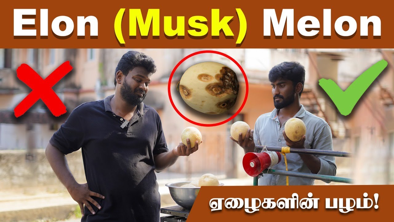 How to eat & buy 'Mulampazham' properly? Iவெயில் காலத்தில் சுவையான ...