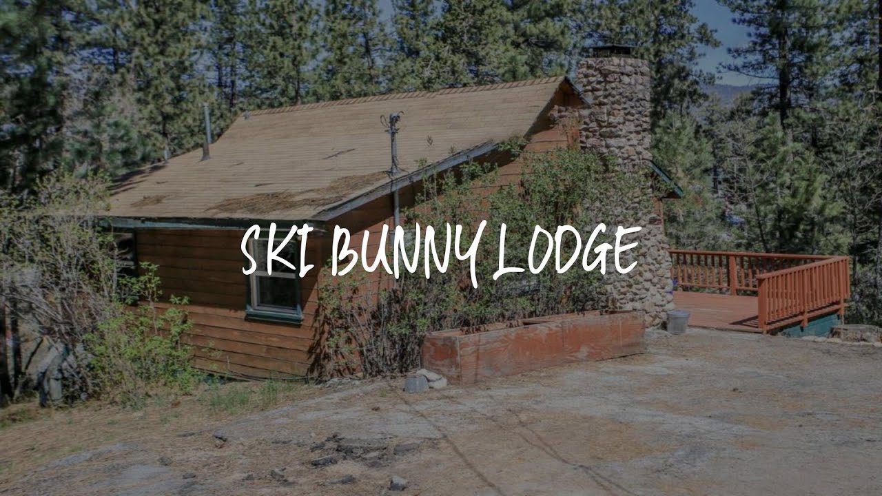 Ski Bunny Lodge Review - Big Bear Lake , United States of America - YouTube