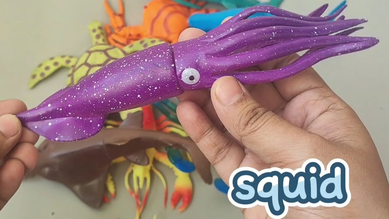 Ocean Wonders: Toddler Adventures in Sea Animal Naming Fun! squid ...