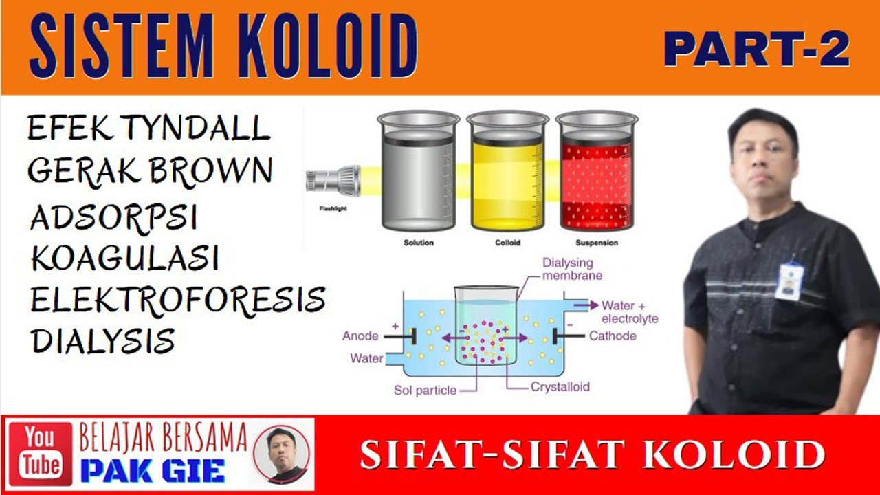 🔴SISTEM KOLOID-SIFAT-SIFAT KOLOID, EFEK TYNDALL, GERAK BROWN, ADSORPSI ...