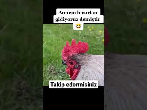 senin bir tarzın var #komedi #komik #gülmek