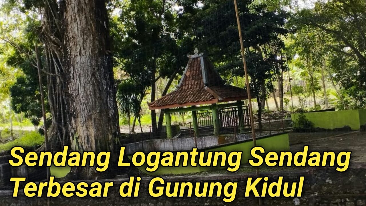 MENILIK MATA AIR ABADI SENDANG LOGANTUNG SENDANG TERBESAR DI GUNUNG ...