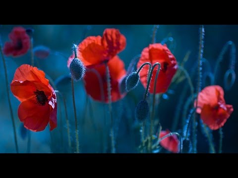 магия цвета - слайд шоу - YouTube