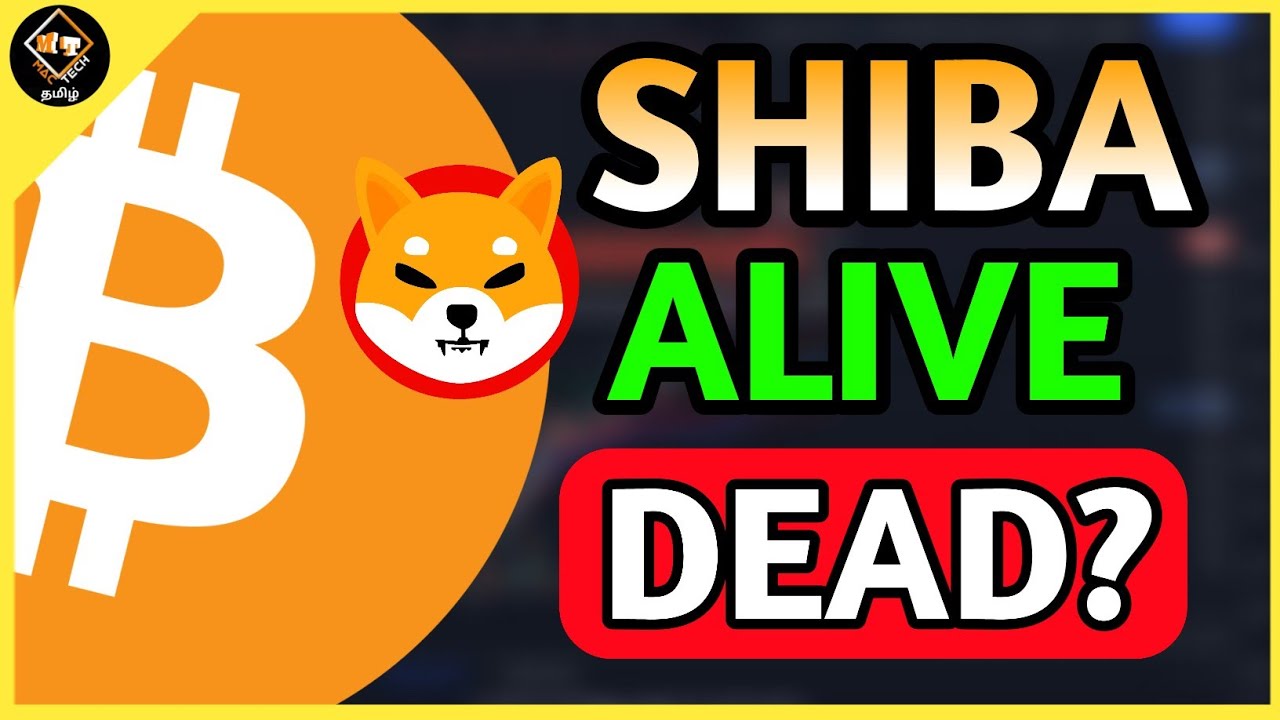 Shiba Inu (SHIB) Alive Or Dead?🤔🤔 Still Hope? Bitcoin Get Ready!!!🚨🚨 ...