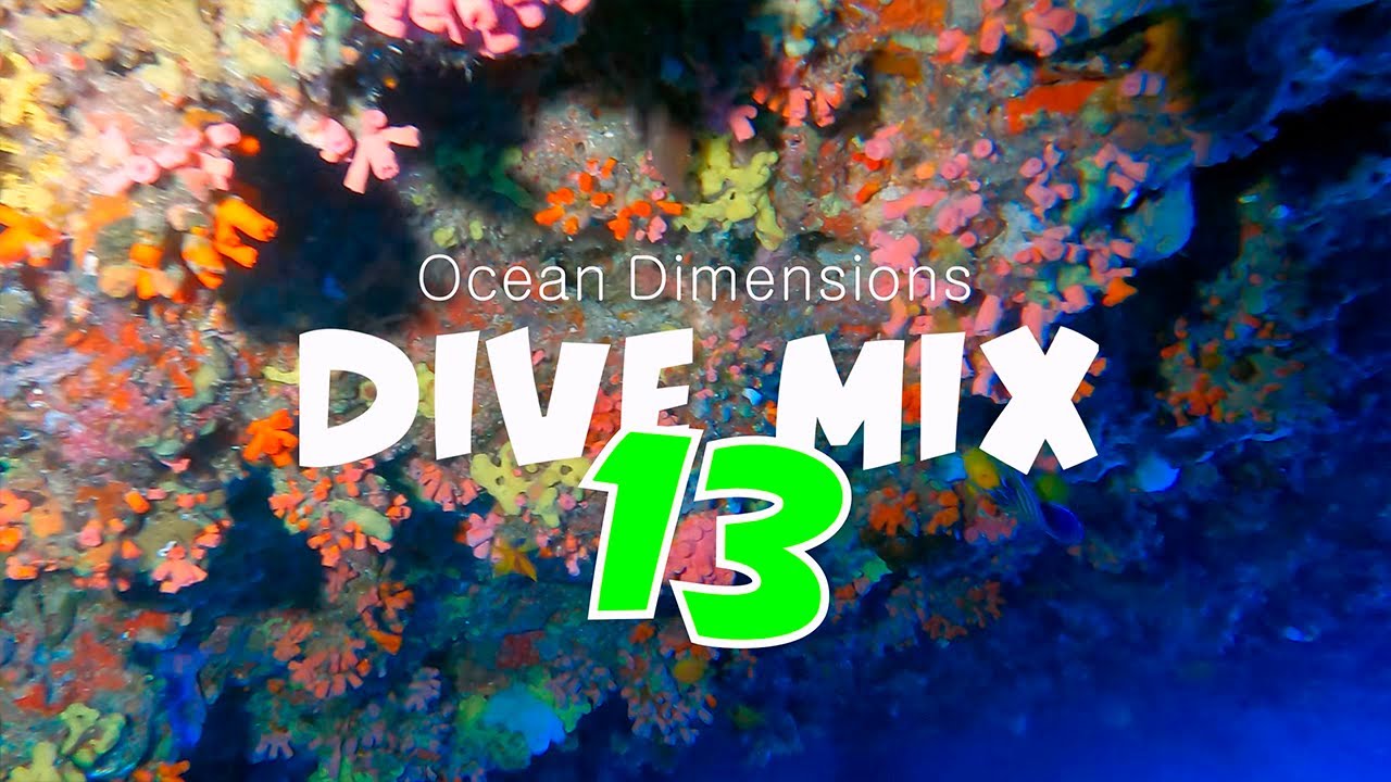 Ocean Dimensions - Dive Mix 13 - YouTube