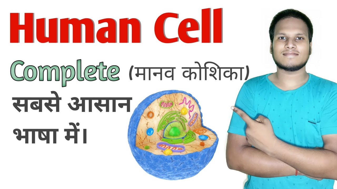 Human Cell | मानव कोशिका | Biology | Cell structure and Function | Cell ...