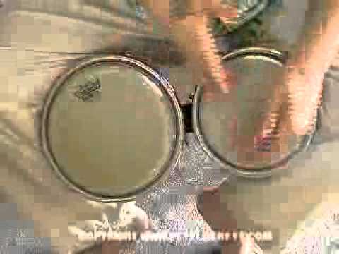 pete bongo - YouTube