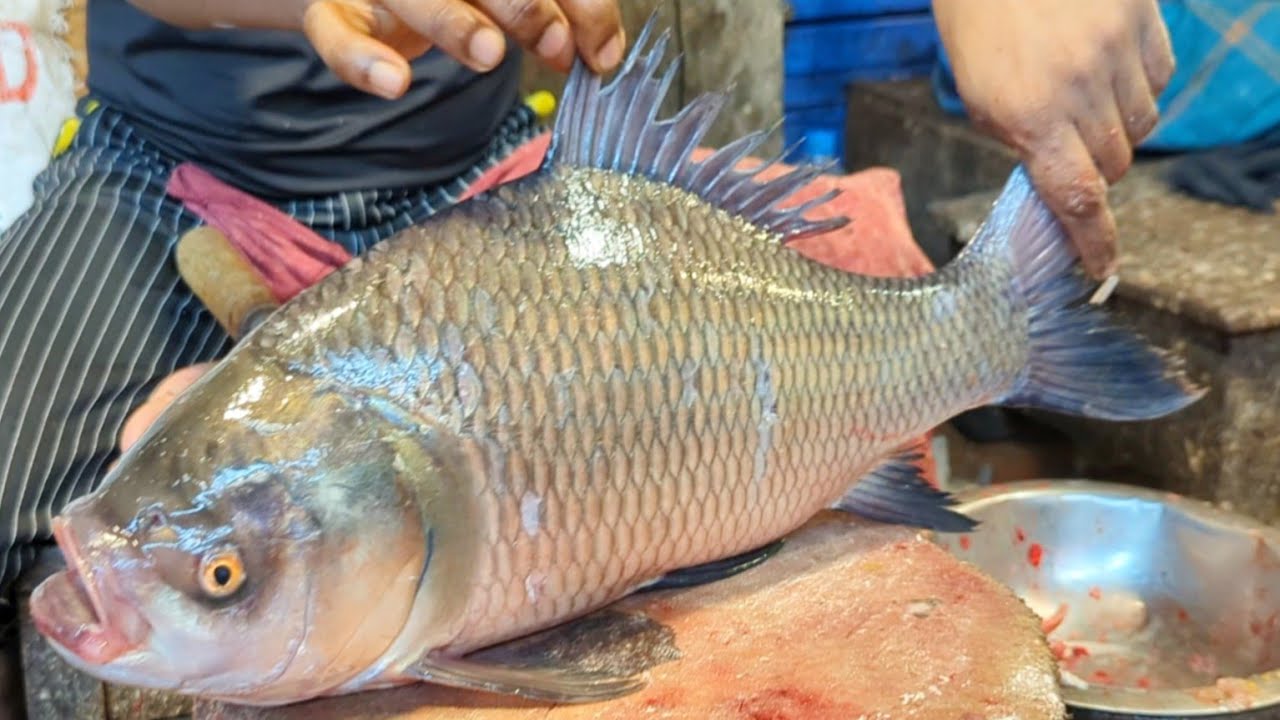 Big Katla Fish Cutting Live In Fish Market | Fresh Fish Cutting Skills ...