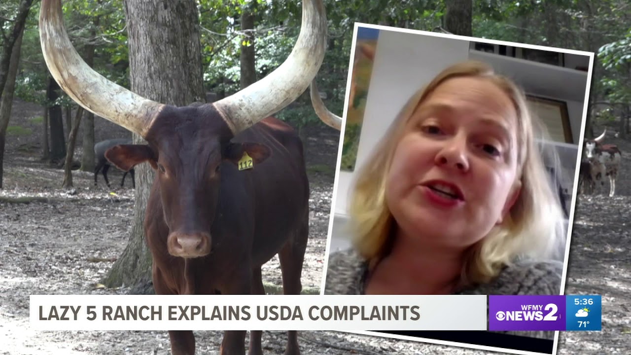 Lazy 5 Ranch Accused of Animal Abuse - YouTube