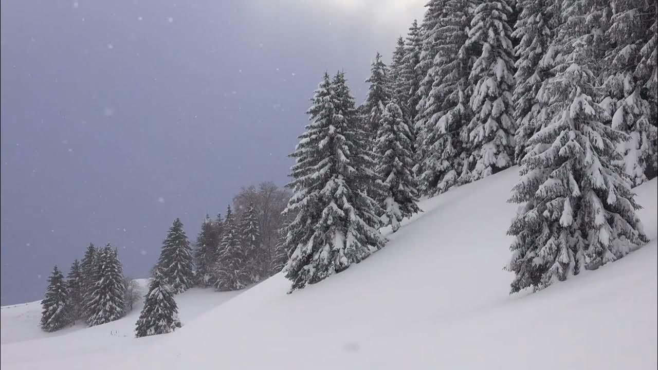Epic Snowstorm | Howling Blizzard Sounds | Heavy Wind & Snow | Perfect Sounds For Sleep - YouTube