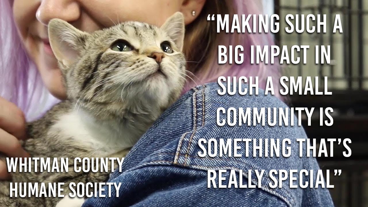Whitman County Humane Society | Community Promo Ep. 3 - YouTube