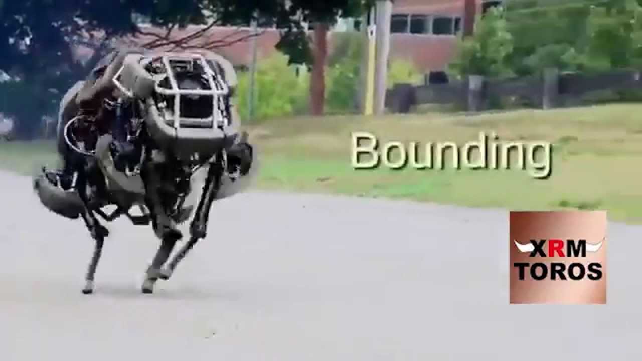 Cheetah, el robot de Toro Mecánico | Mechanical Bull | HD - YouTube