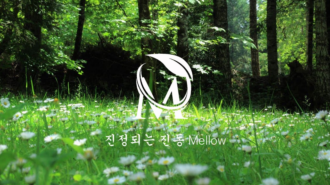 Cool summer music🌳A collection of piano songs that are good to listen ...