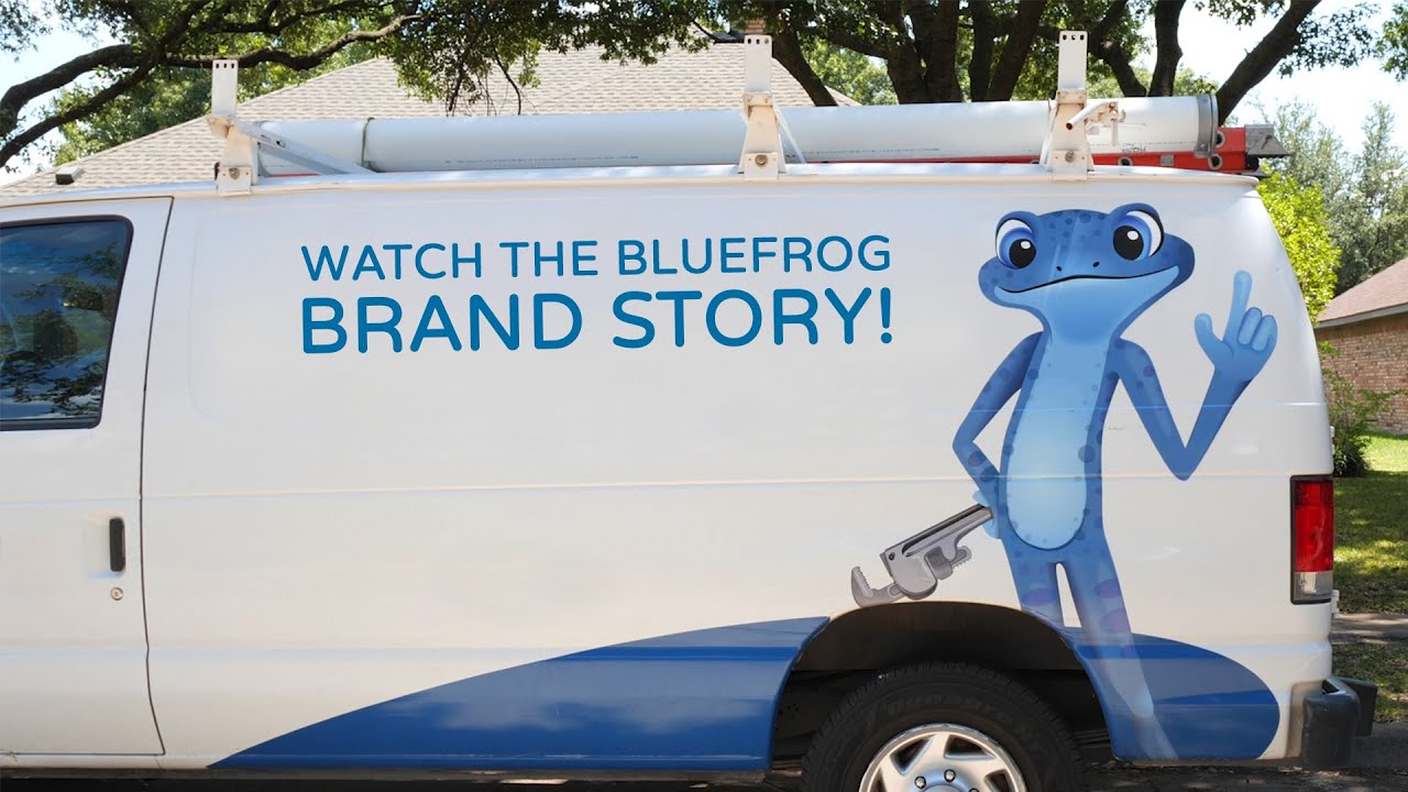 Bluefrog Franchise: Brand Story - YouTube