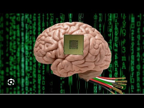 If were in a computer simulation " Who Wrote the Program? - YouTube