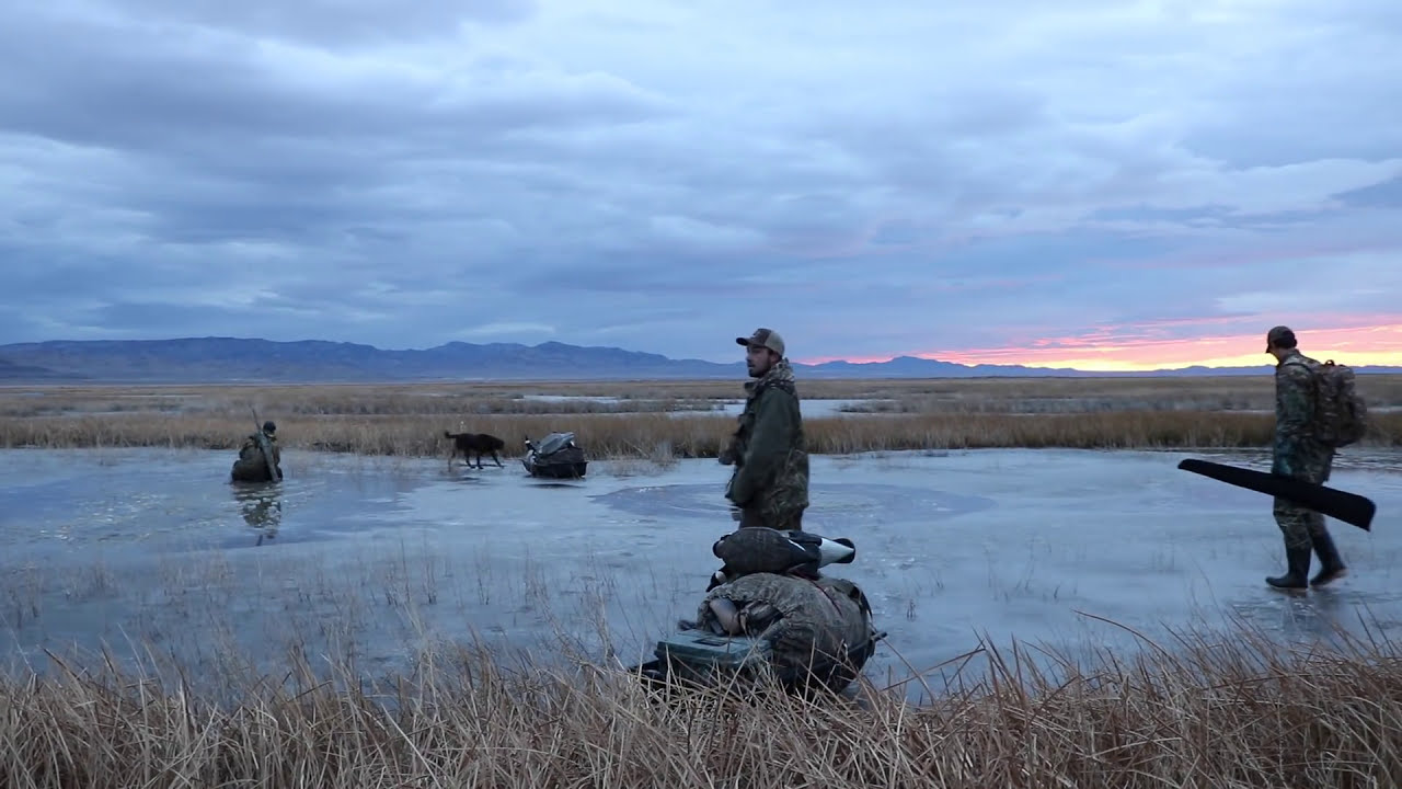 HIGH DESERT DUCK HUNTING - YouTube